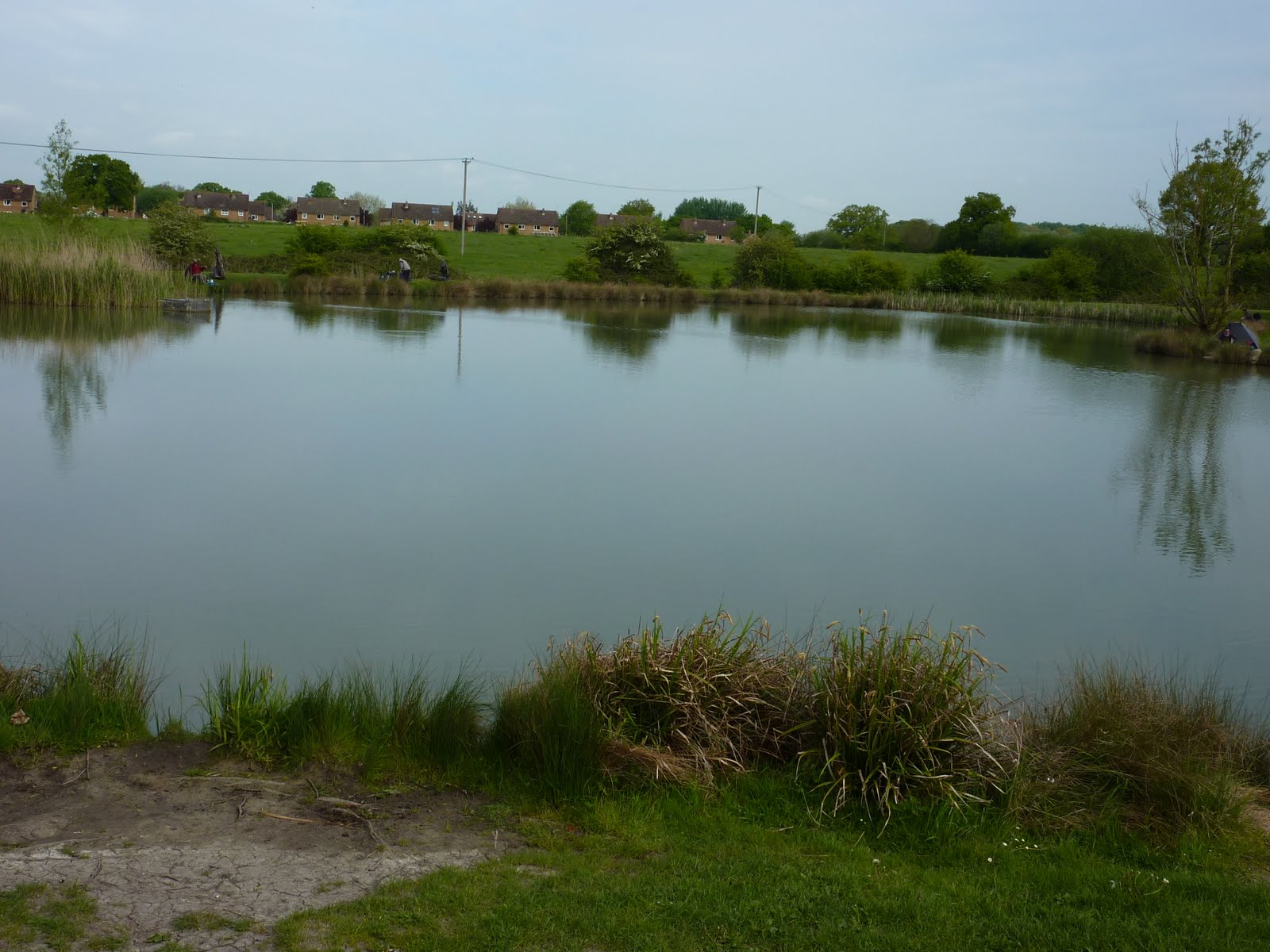 Silverfox Match Angling: Wednesday 19/05/2010 - Carps AC - Sabre Lake