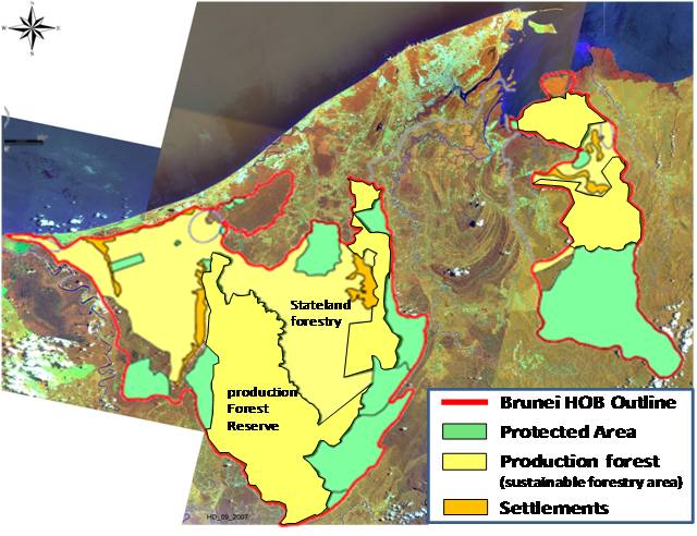Panaga Natural History Society: Forest cover of Borneo and Brunei