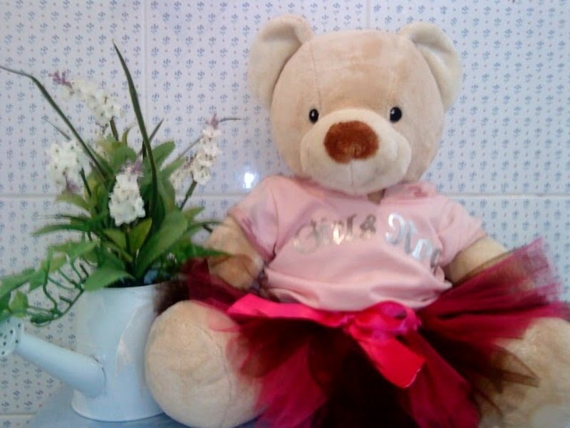 Fleur Bebe: Raspberrie Chocolate Poofy Tutu