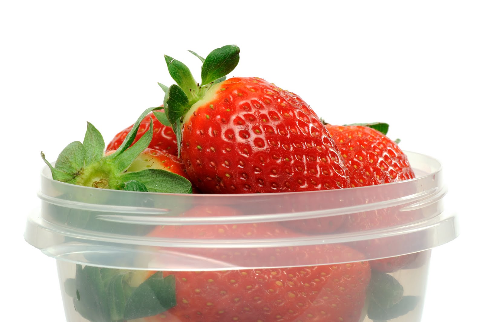 Believe Jay - Elementary School Fundraisers - School Fundraiser Advice ...