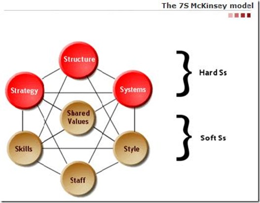 Destiny: Mckinsey's 7S Framework