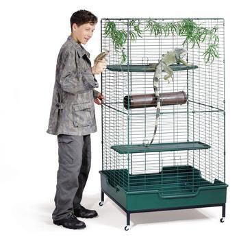 Reptiles Love: Iguana Cage Building Or Buying Tips and Tricks