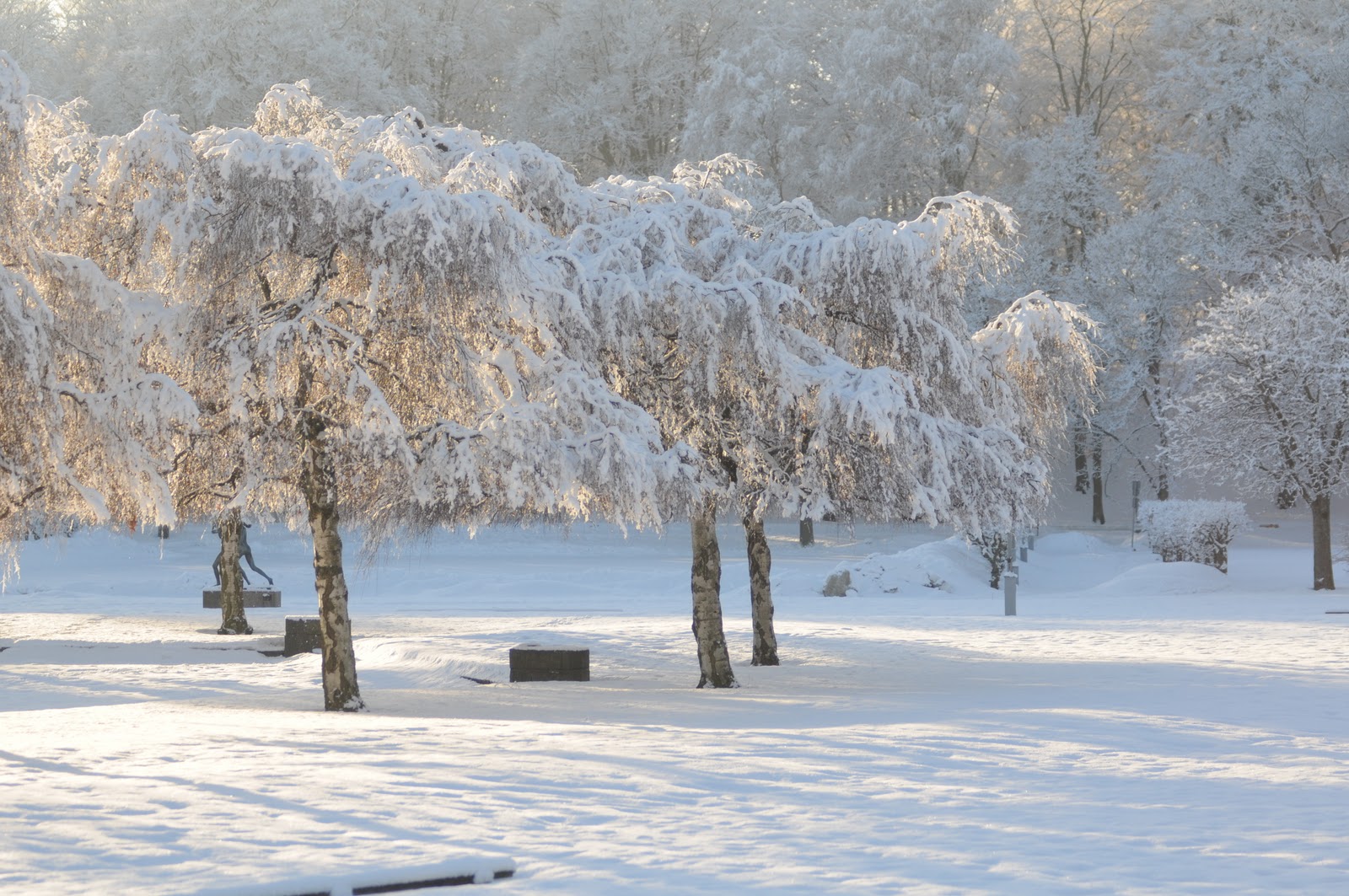 Life to the Extreme: Vinter i Göteborg, Slottsskogen