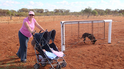 Eulo Twins: Boorara Babies!