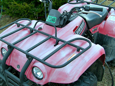 The Downeast Duck Hunter: ATV plastic restoration...