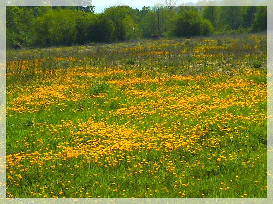 Photograff: Prendre la clé des champs