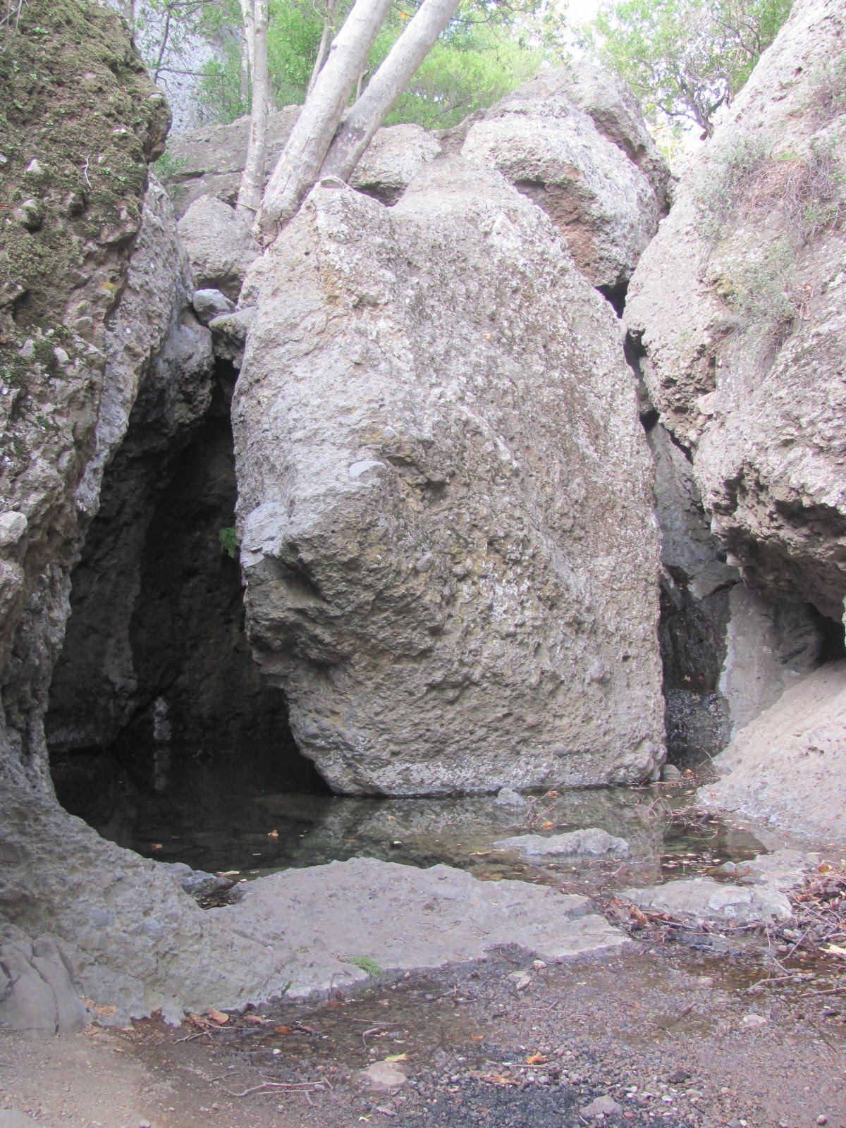 Hills Climbing Hills: Hike #5 The Grotto Trail