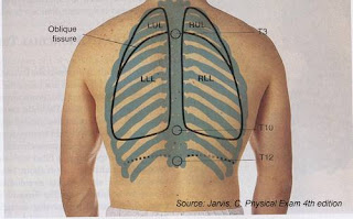 Pulmonary Assessment