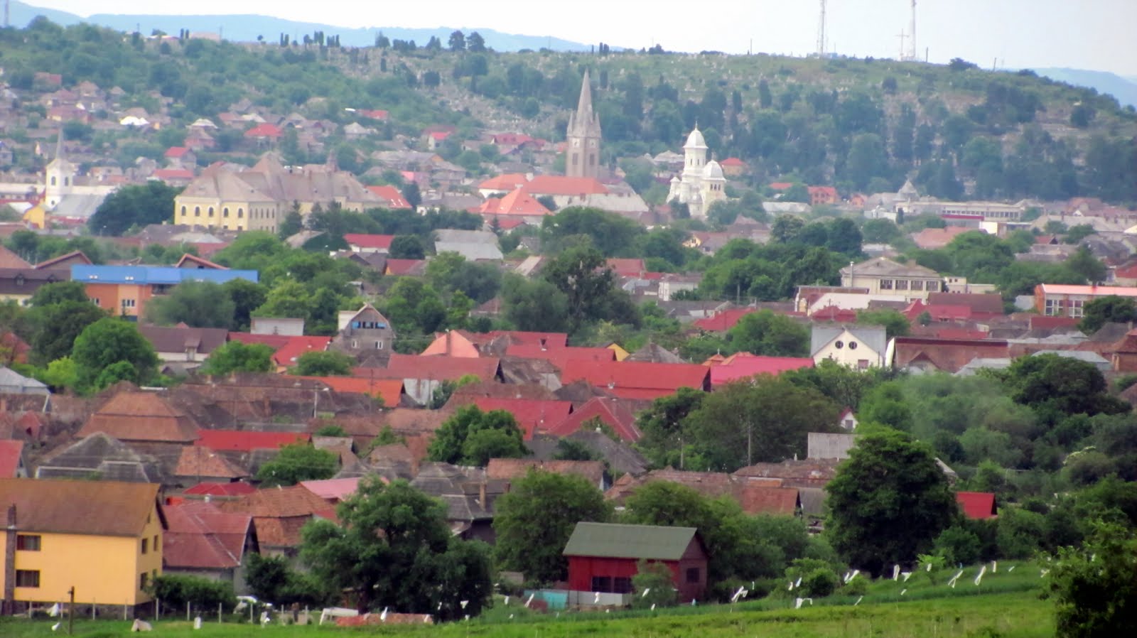 Turda - comunitate milenară ~ Cu pluta pe Arieş