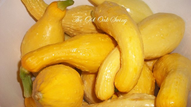 The Old Oak Swing: Preserving The Harvest - Freezing Yellow Summer Squash