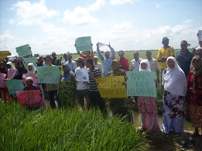 PERaNTaUKITE 90: 800 nasib pesawah padi di Rompin Pahang