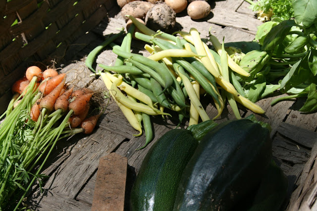 The Polished Pebble: Vegetable Garden Ideas