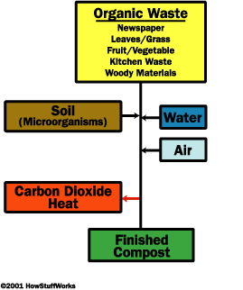 The Polished Pebble: Good things for the garden: Composting 101