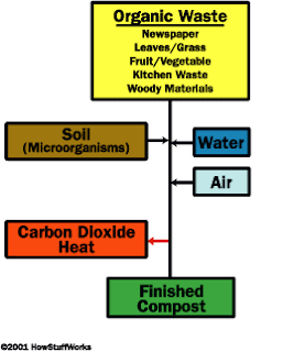 The Polished Pebble: Good things for the garden: Composting 101
