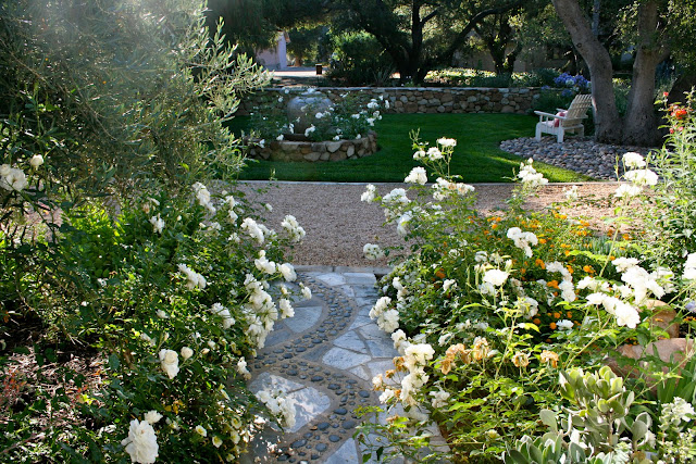 The Polished Pebble: Garden Update: Sunday morning walk with Millie