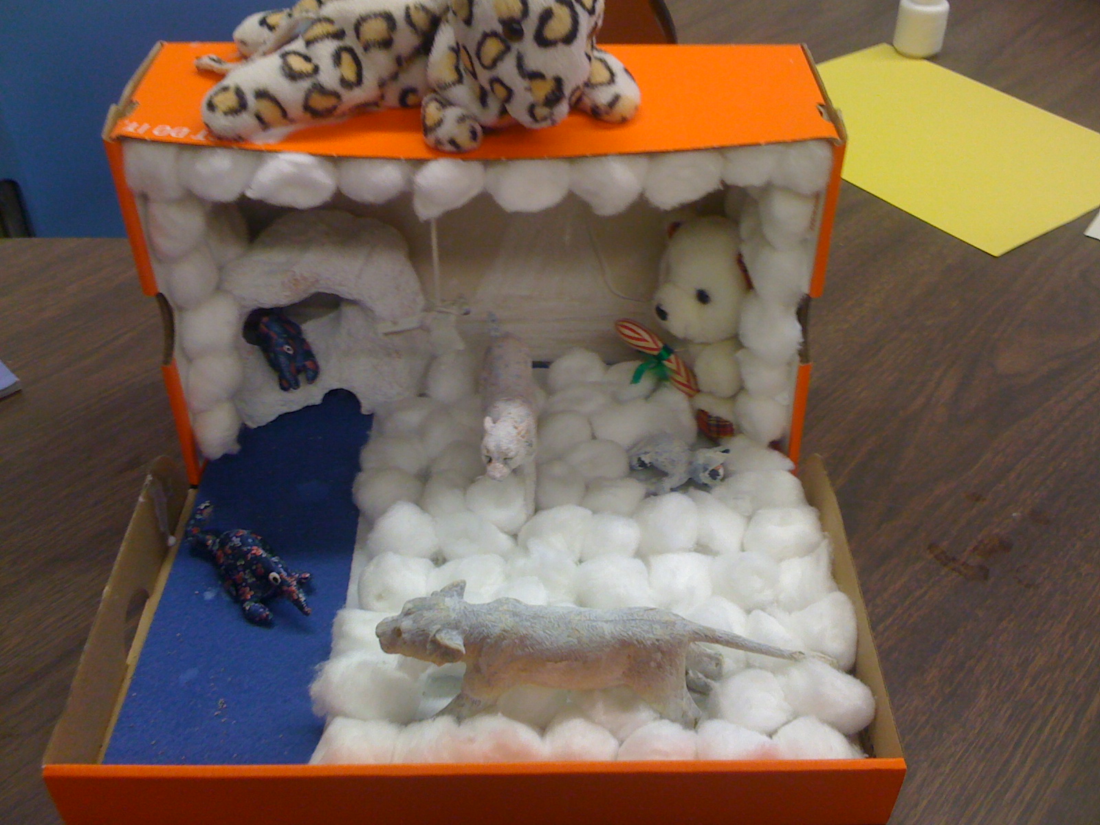 Mrs. Cardoso's Class: Our Biome Projects