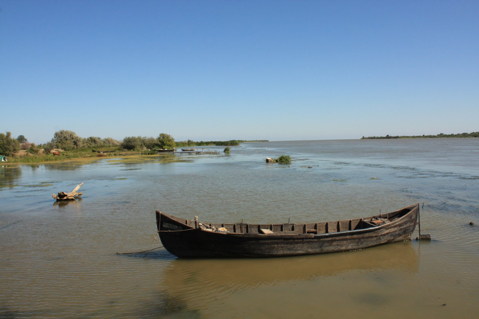 Ilyen a természetünk: Madárlátta Duna-delta