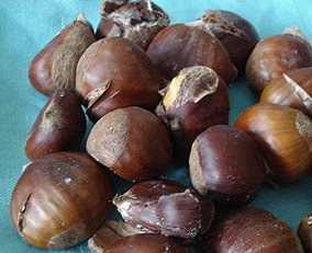 Bilhete de Identidade da Fruta: Fruto - Castanha