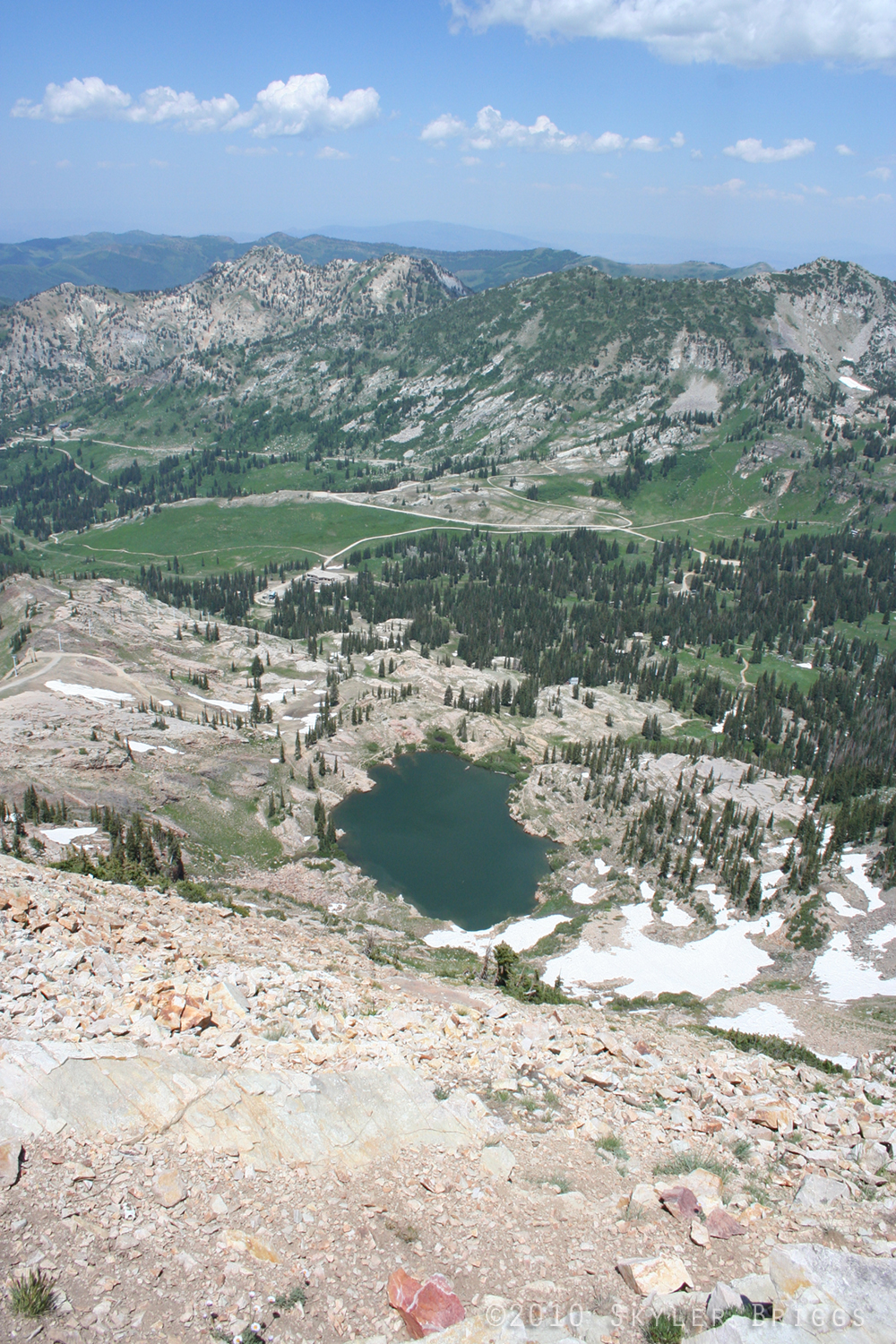 Tracks and Scat: Yellow Bellied Marmot