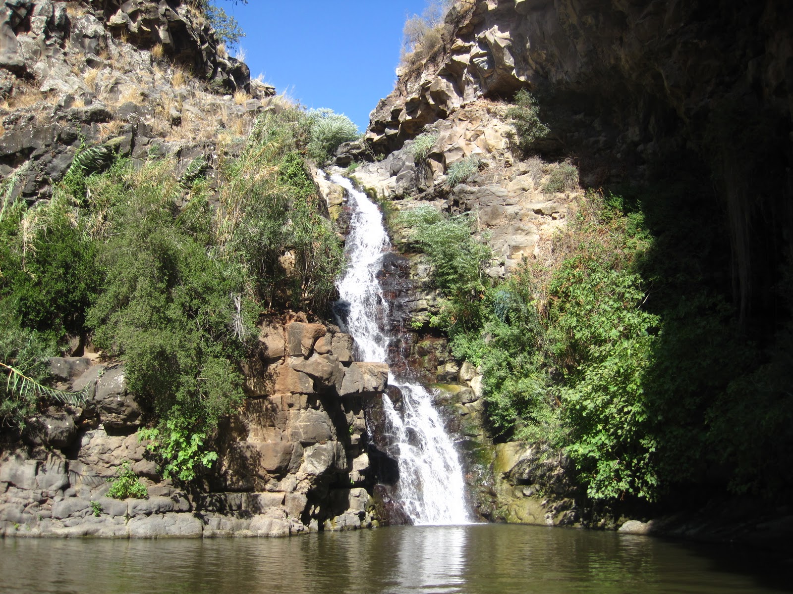 Israel. Australia. New Zealand. What's next..?: 'Vroom Vroom' around Israel