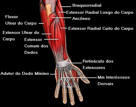 Blog do Firme - Utilidades e conhecimento: Pulso Aberto? (Na verdade ...
