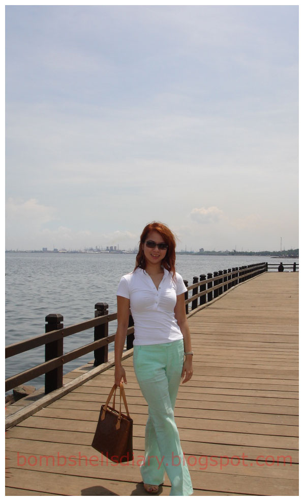 Diary of the Brainy Bombshell: Swimming wif Dolphins