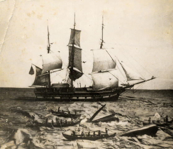 Alaskan Eskimo Adaptation and Recovery from 1800's Whaling Industry ...