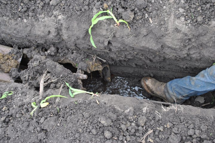 Corn Corps: TILING OFFERS QUICK RETURN ON INVESTMENT