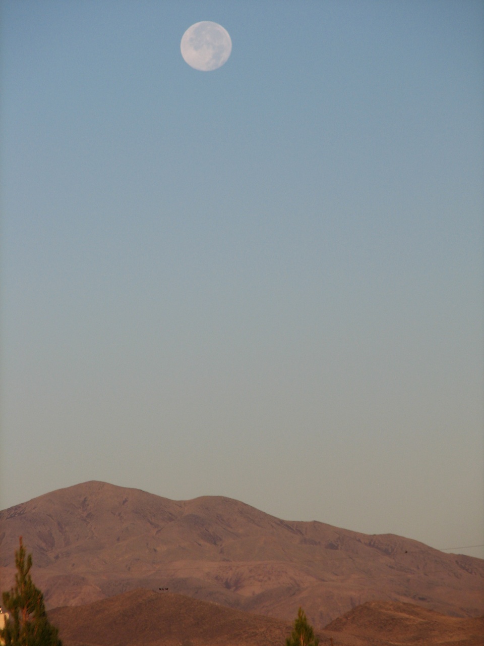 Over the Hump!: Blue moon???