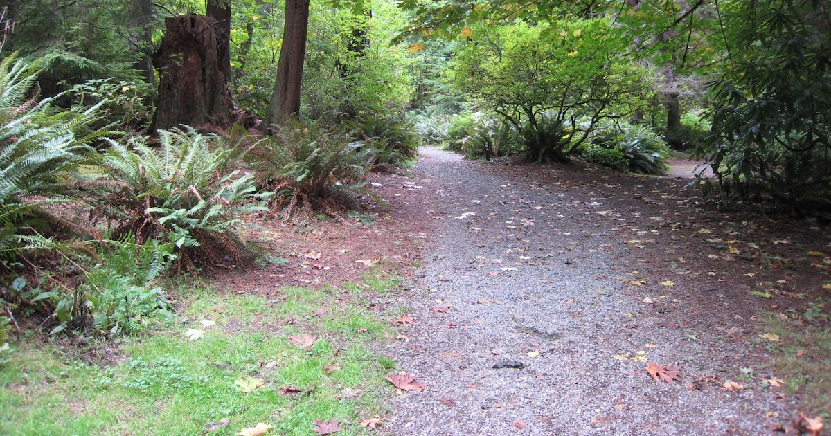 Weekend Hike: Point Defiance - Outside Perimeter (Square Trail)