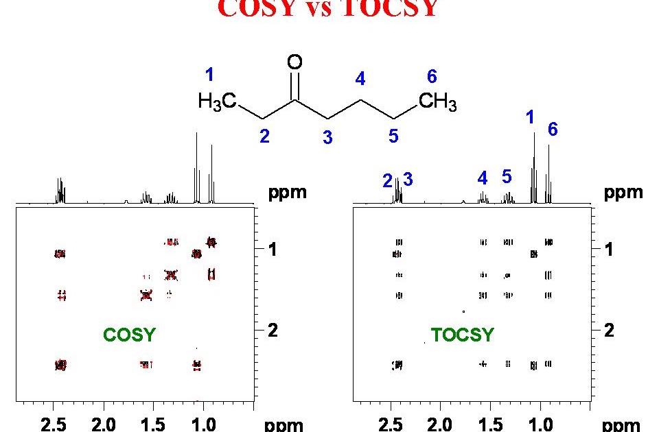 University of Ottawa NMR Facility Blog: COSY vs TOCSY