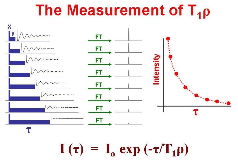 University of Ottawa NMR Facility Blog: What is T1ρ and How is it Measured?