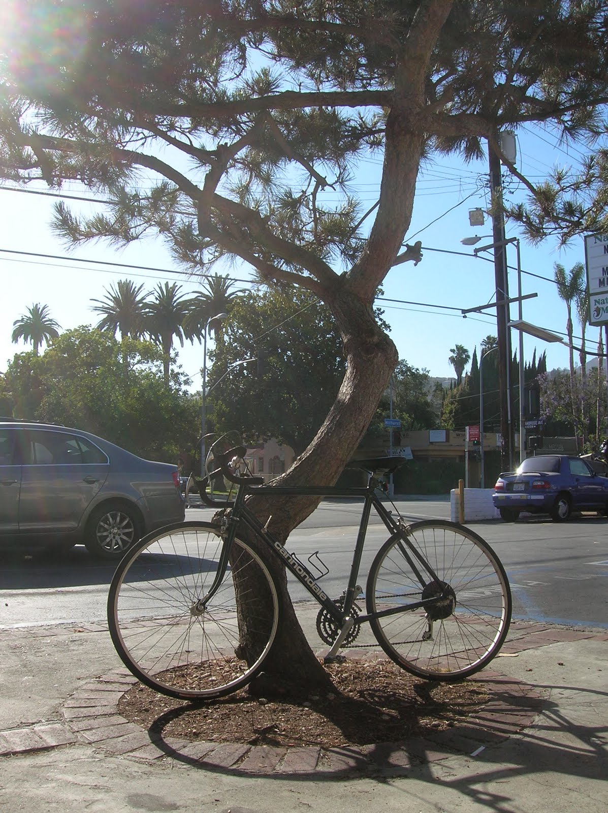 Flying Bicycles Over Hollywood