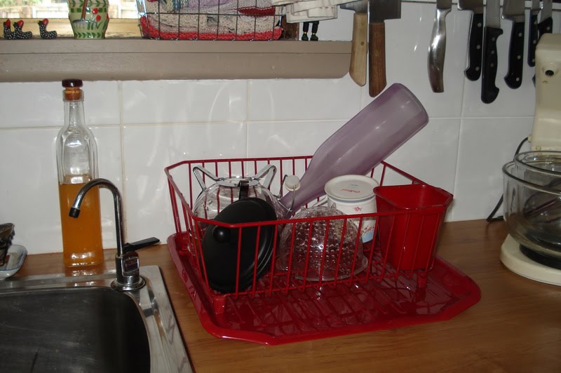 Washing the dishes - the continuing story | down to earth