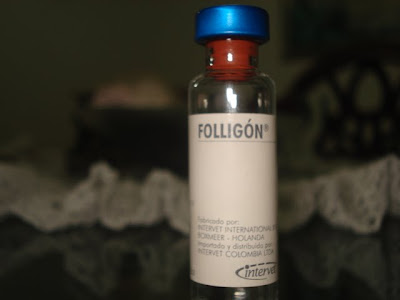 biologia: V ehuristica peces marco teorico