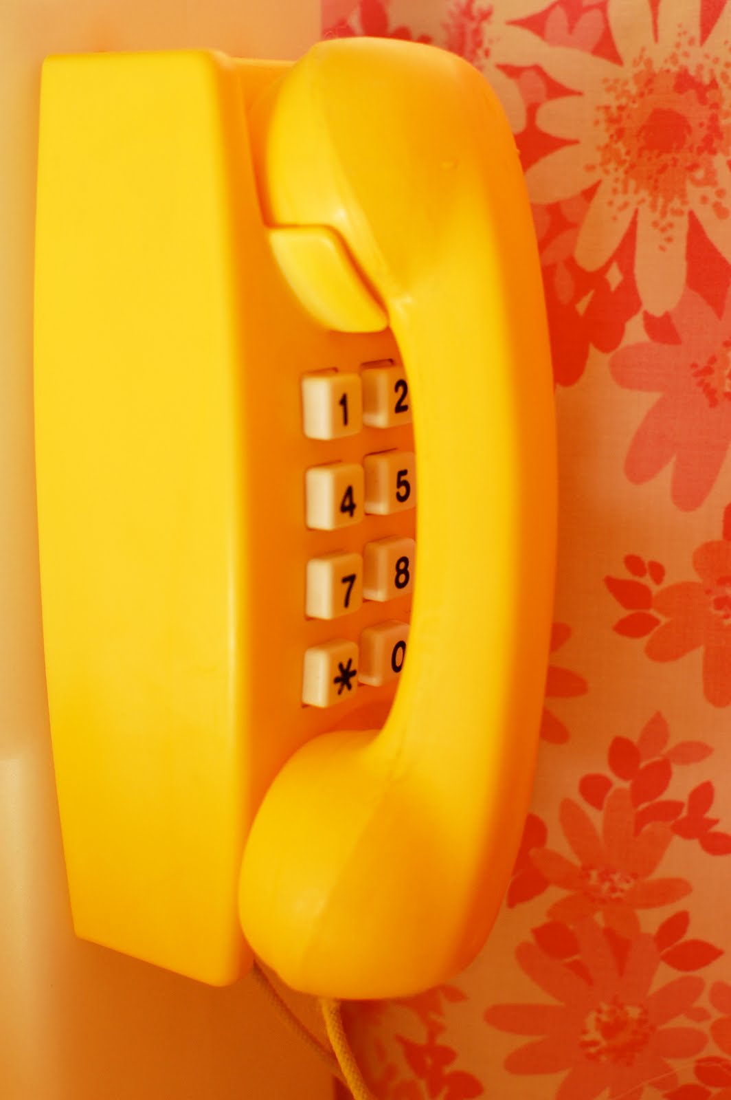 Retro Plants: Kendy's room