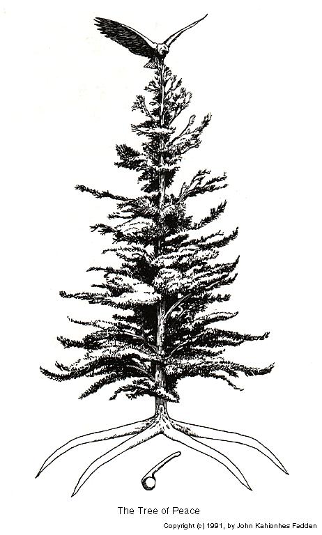The Eastern White Pine - The Tree of Peace