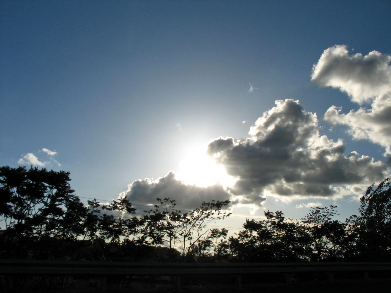 Stock Pictures: Clouds, the Sun and Trees