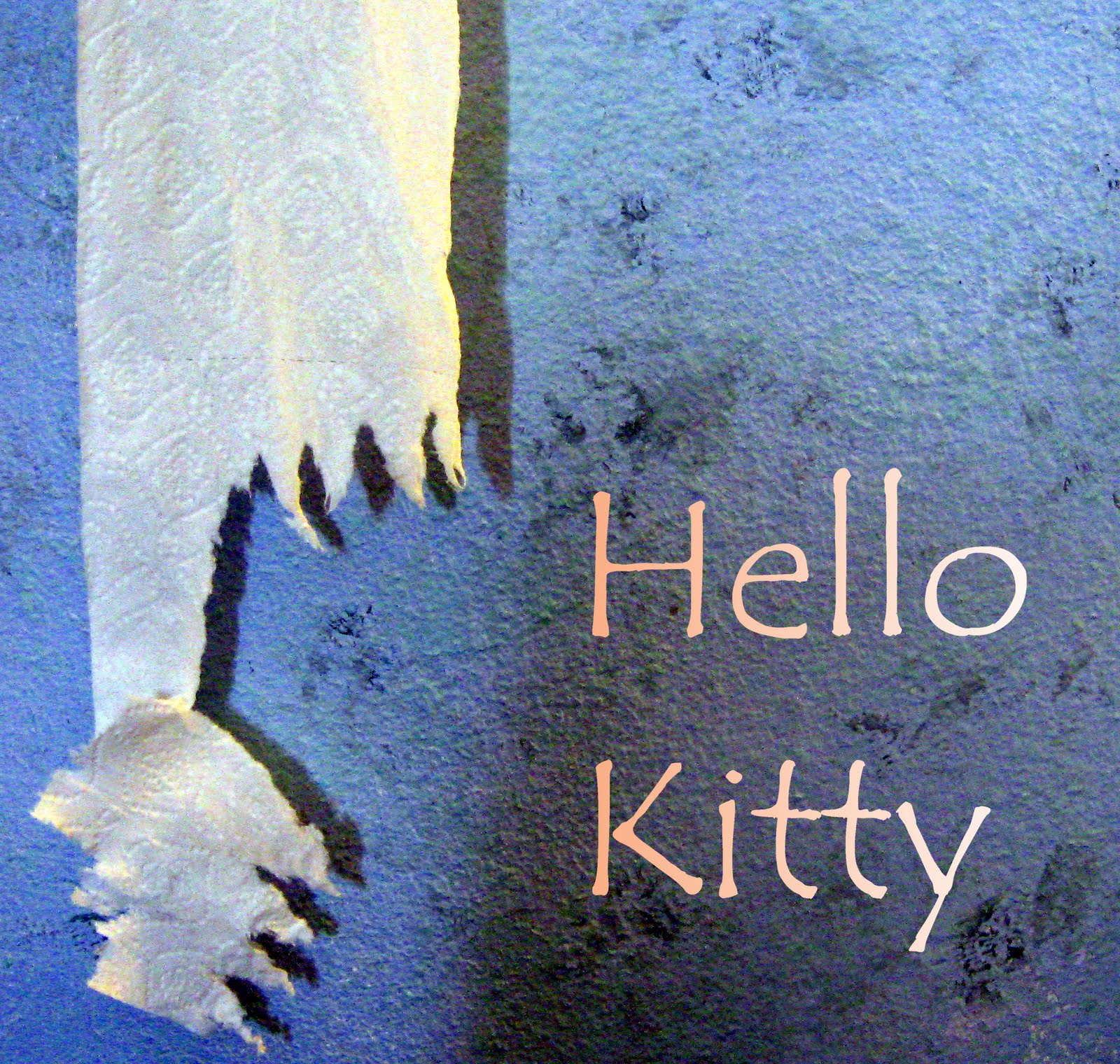 Lisa Snellings: August 2010