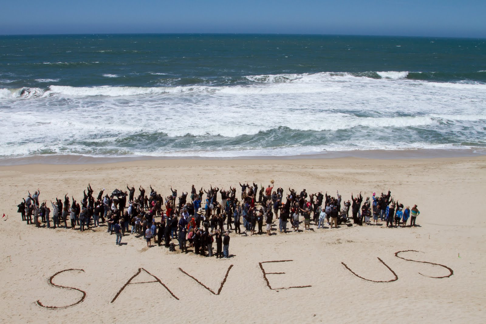 White Mountain Photography News: Save the Whales