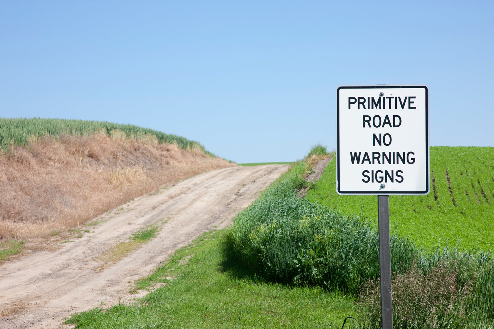 White Mountain Photography News: Loose in the Palouse