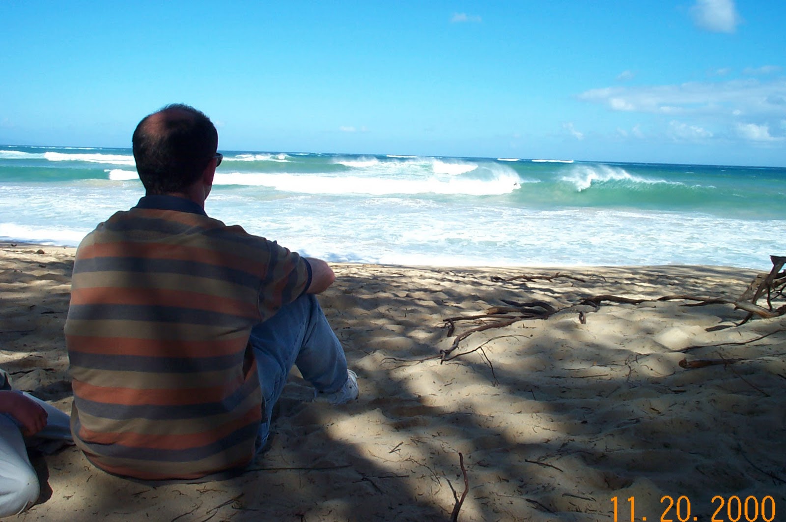 Holy Cow, I Have Leukemia!