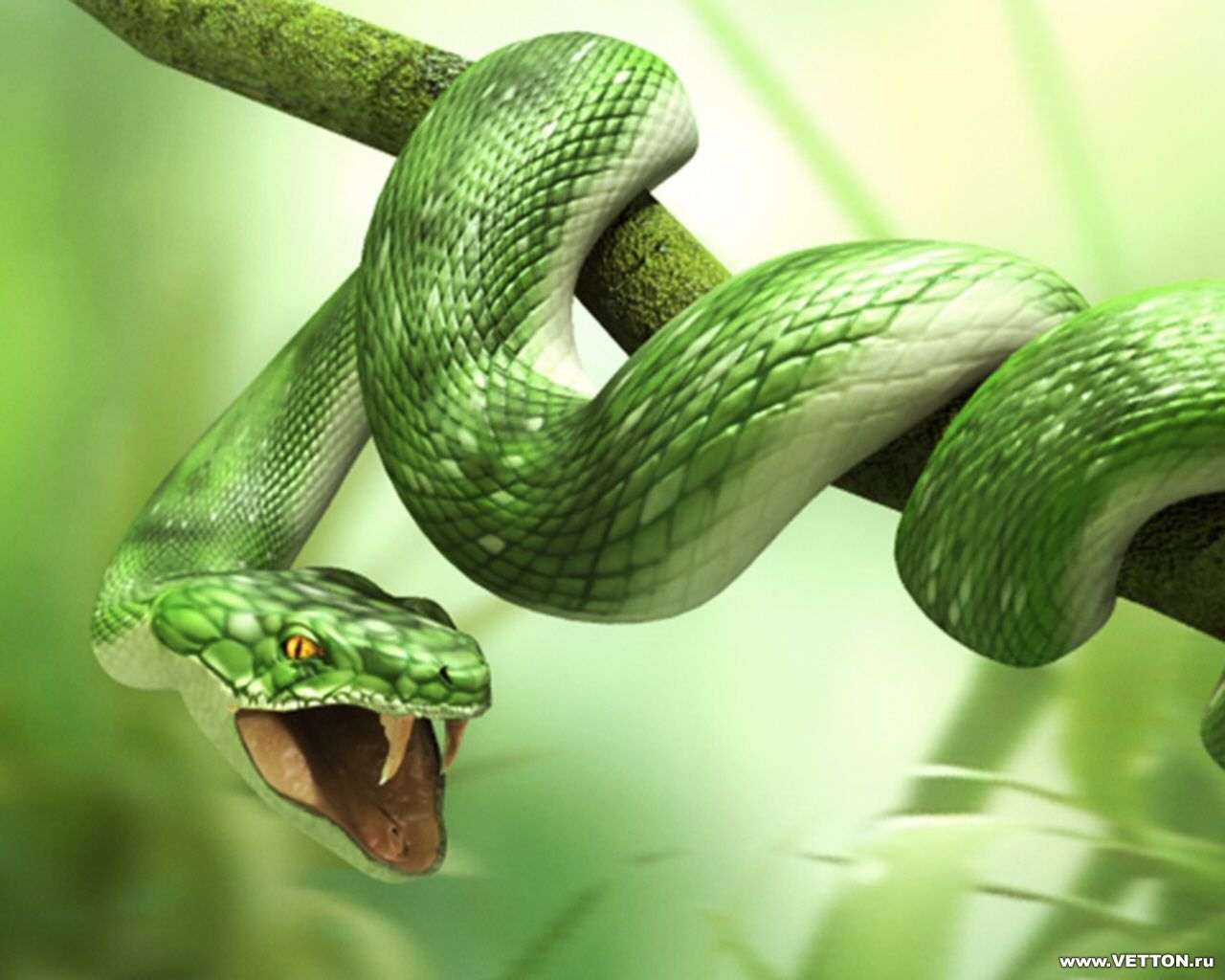 3D Wallpapers: Green Snake - Anime