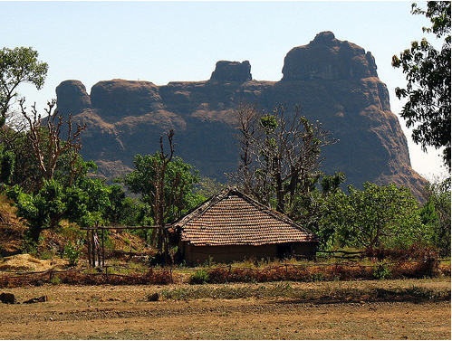 PadarGad