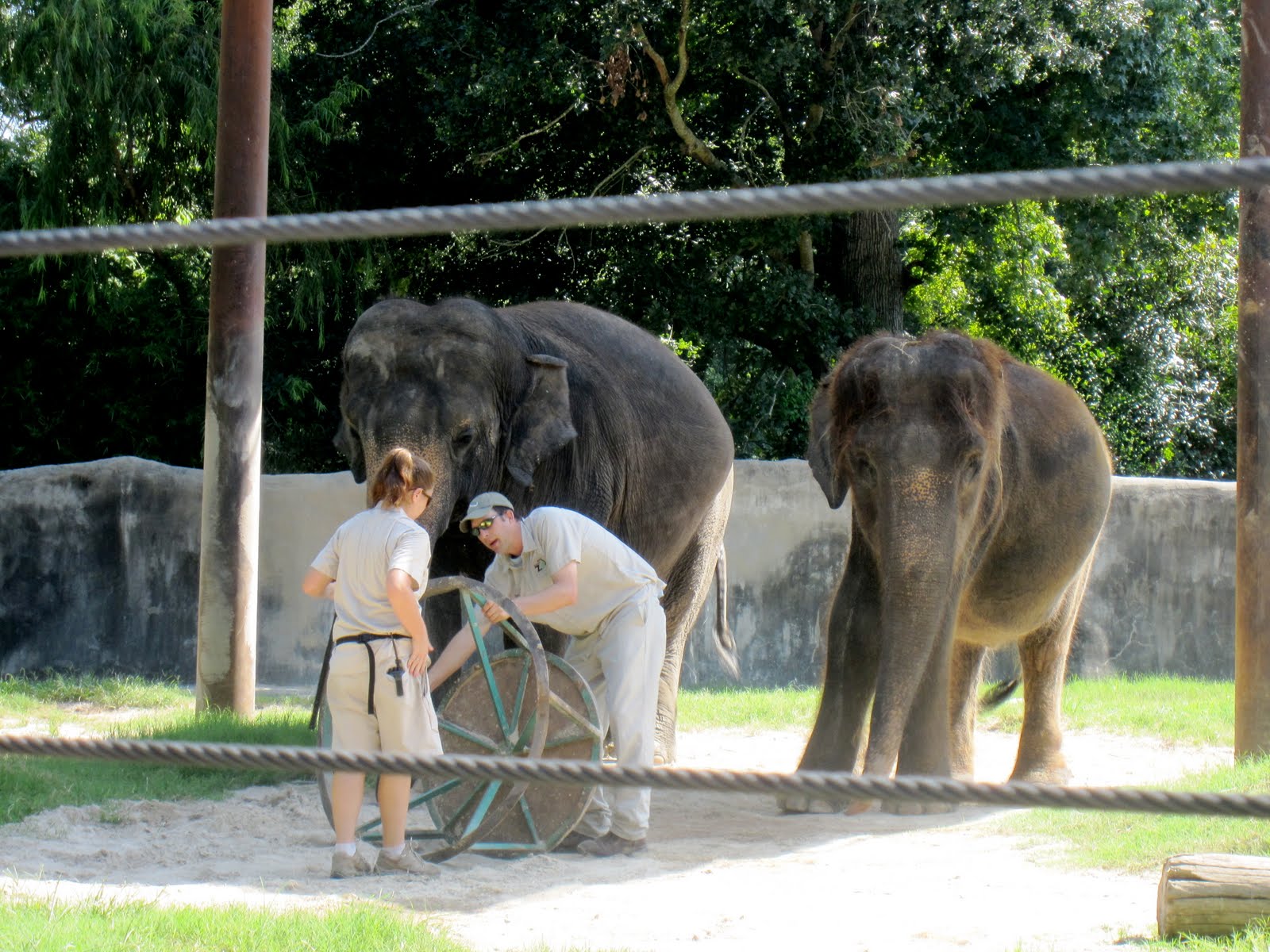 World of the Wilsons: Baton Rouge Zoo