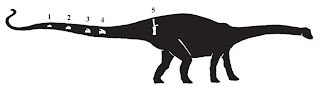 Quero Ser Paleontólogo!: Especial "Dinossauros" - Parte 3/4 ...