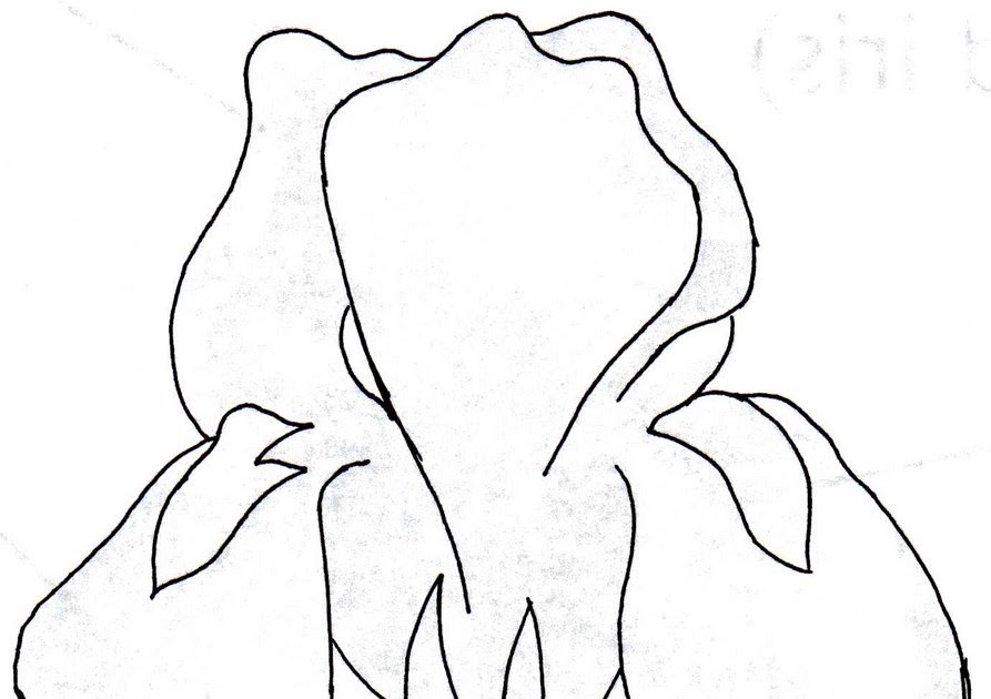 Ellis Cycles: The beginning