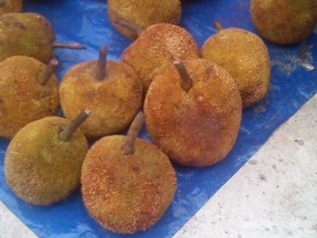 Something to Share From My Digital Camera: Tamu Kudat ("tarap" fruit ...