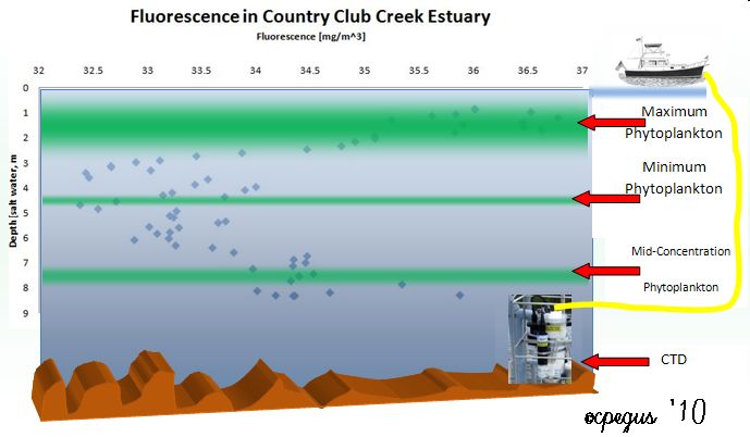 Research Methods in Marine Ecology: CTD Cruise on Country Club Creek