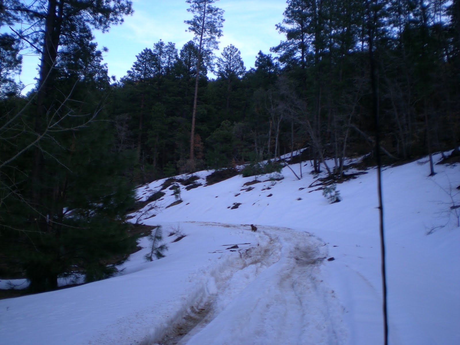 Red Rock Tales and Trails: Camping at Pioneer Pass in the Pinal Mts